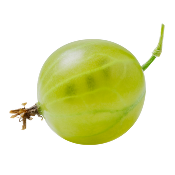 Beneficios e Ingredientes – PLETO®